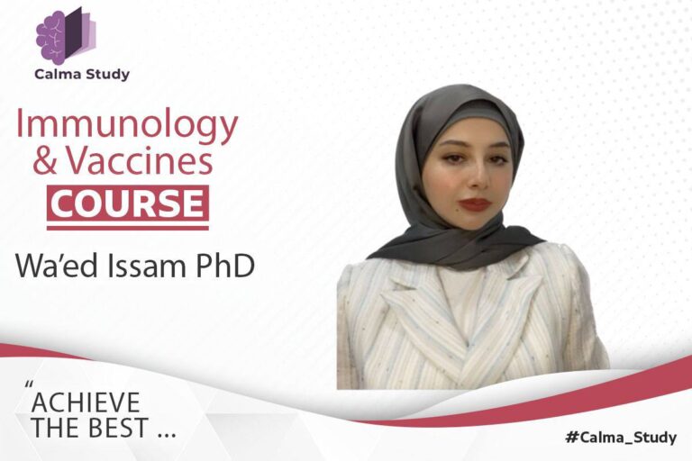 Calma Study – Calma Study