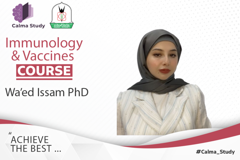 Calma Study – Calma Study