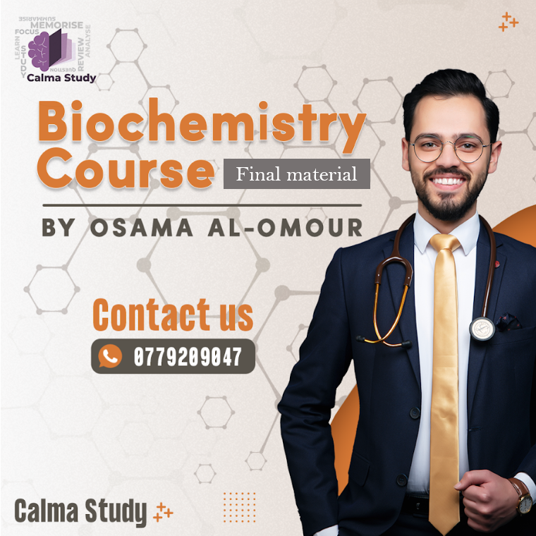 Calma Study – Calma Study