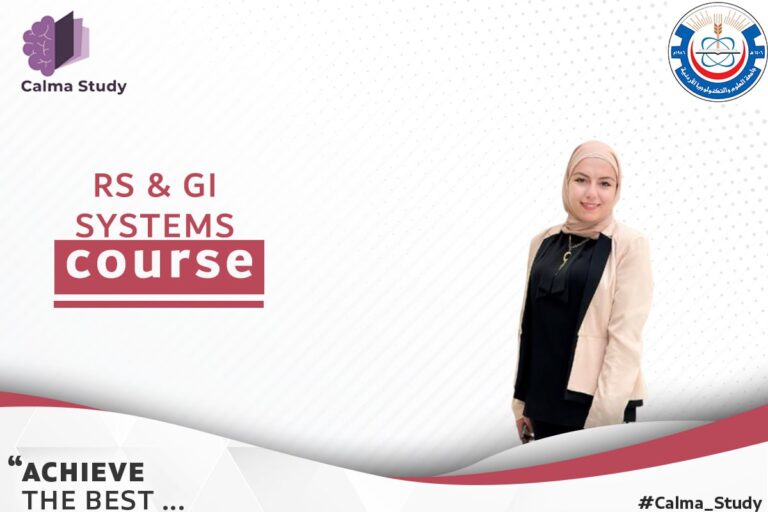 Calma Study – Calma Study