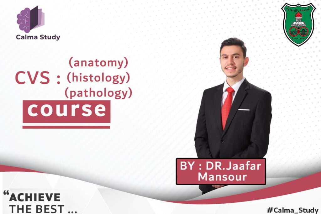 Cvs Final Anatomy Histology Pathology Calma Study