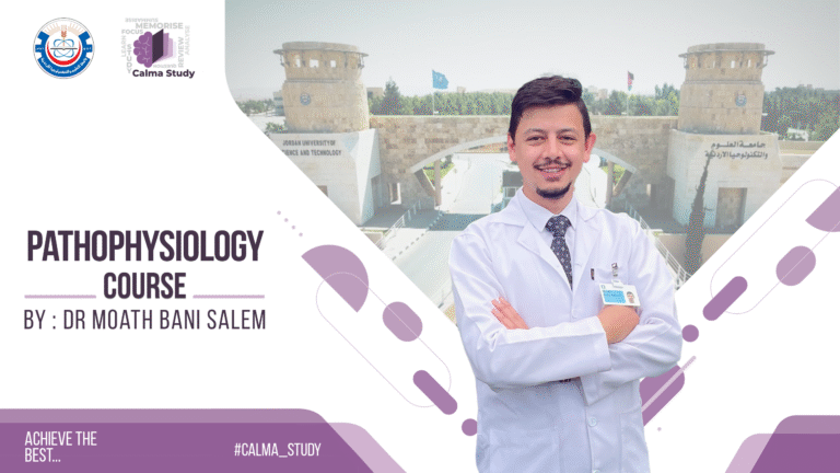 Calma Study – Calma Study