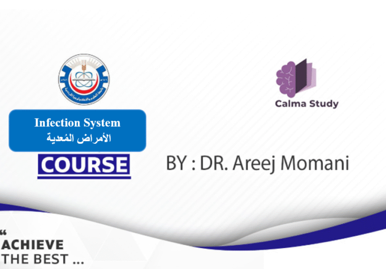 Calma Study – Calma Study